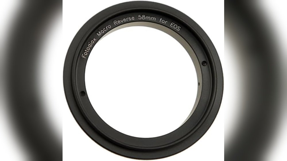 Best Lens For Reverse Macro Photography: Top Adapters For Canon And ...